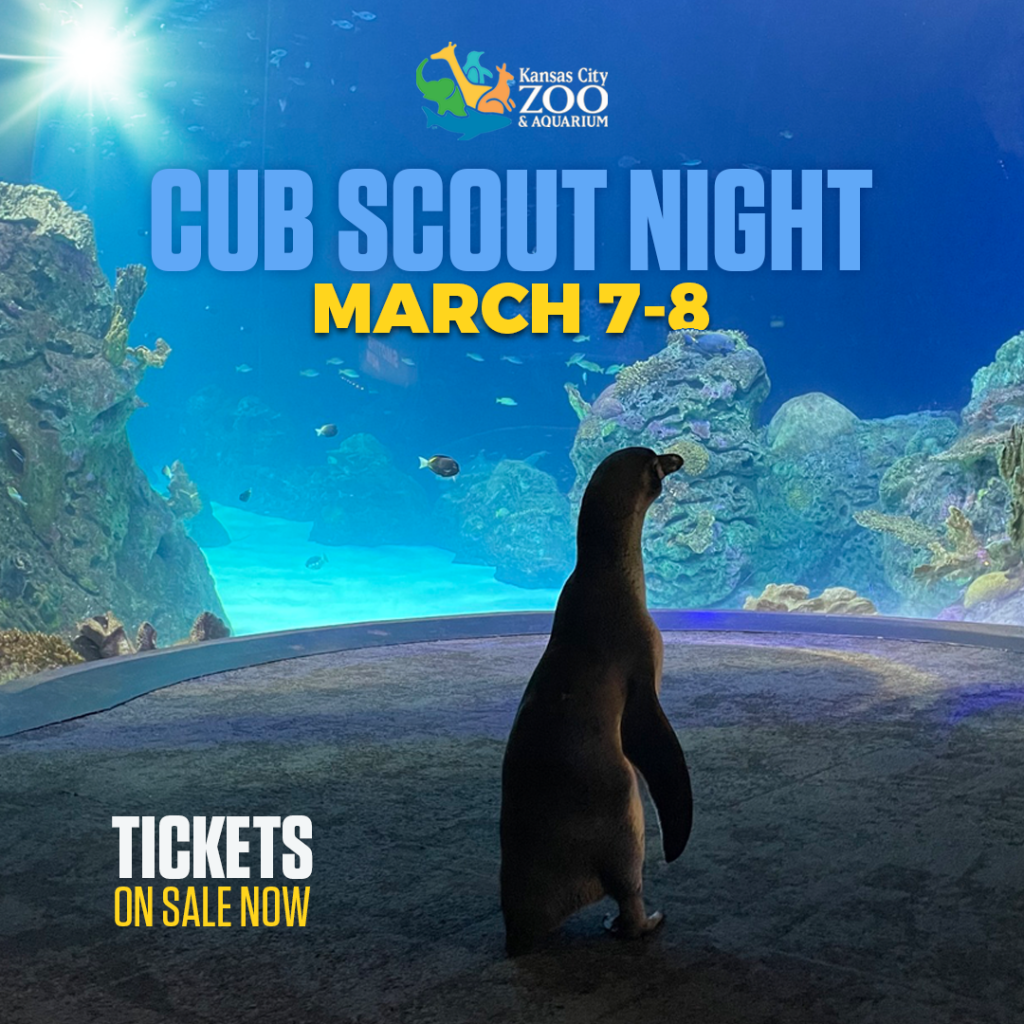 Events from September 27th, 2024 – March 8th – Cub Scout Pack 4337